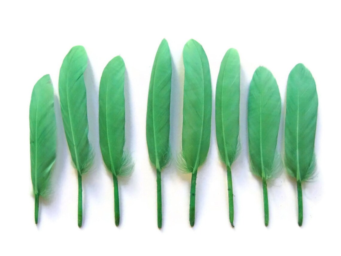 Duck Feathers, 1 Pack - Aqua Green Duck Cochettes Loose Feathers 0.30 ...