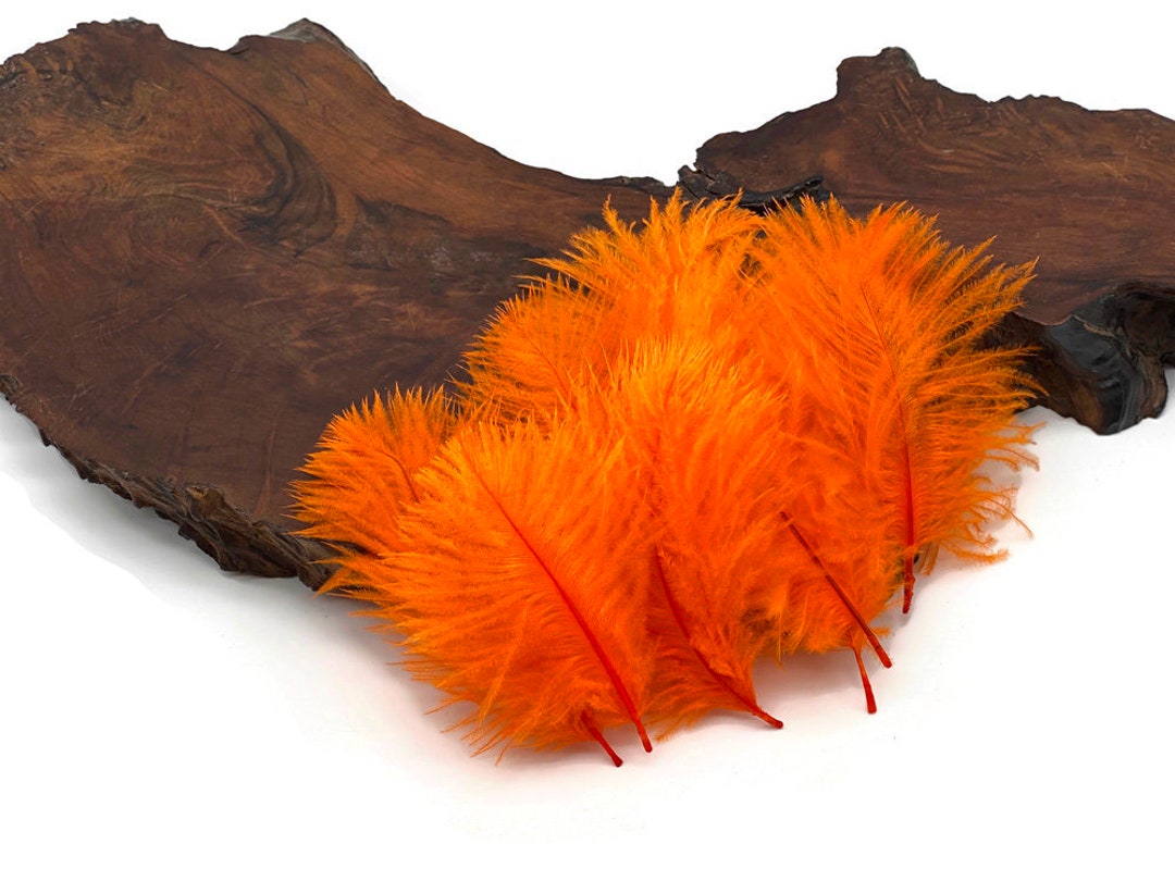Mini Feathers, Wholesale Pack - Orange Small Ostrich Confetti Feathers ...