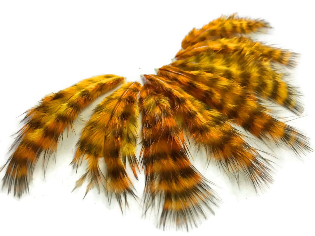 Fluffy Feathers, 1 Dozen - Golden Yellow Grizzly Rooster Chickabou ...