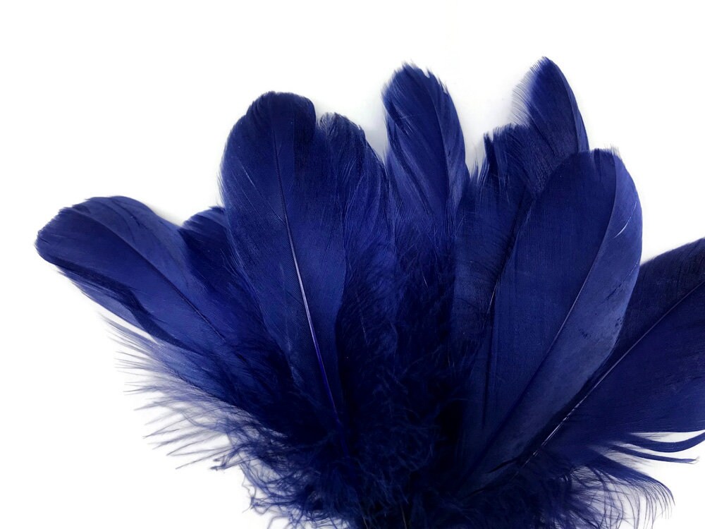 Goose Feathers, 1/4 Lb - Navy Blue Goose Nagoire Wholesale Feathers ...