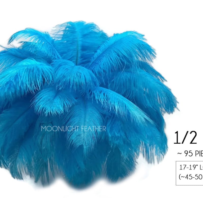 Emu Halloween Costume - Etsy