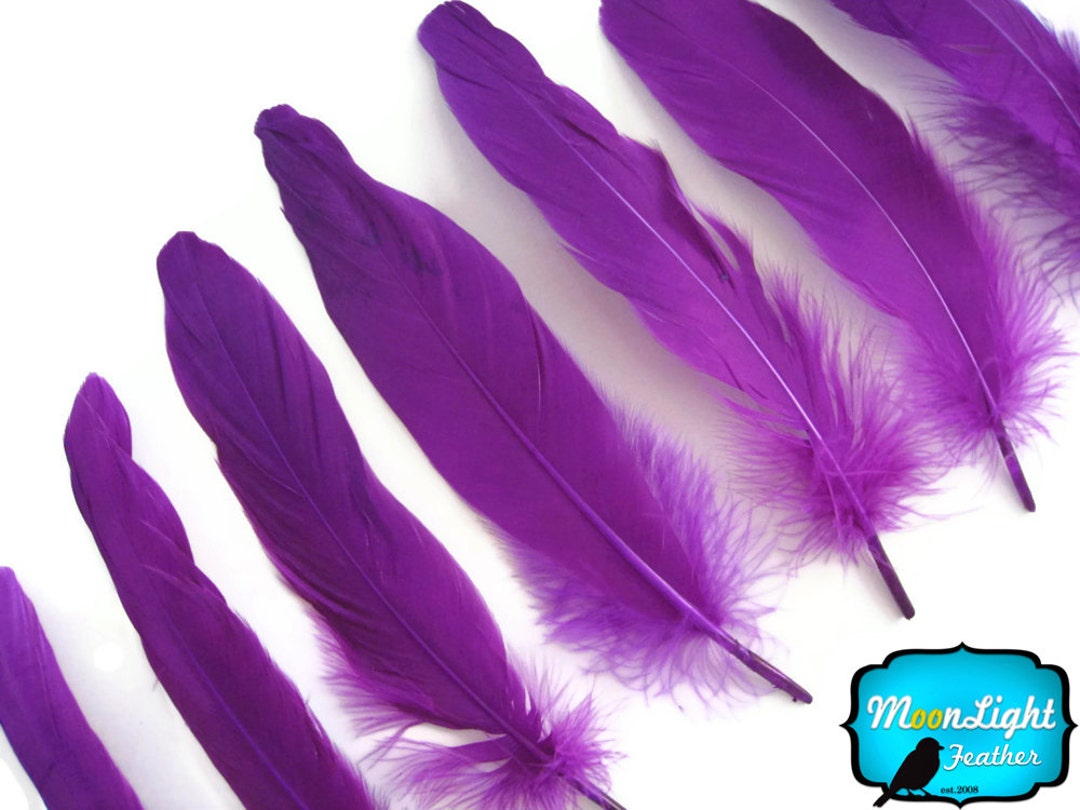 Purple Goose Feathers, 1 Pack - PURPLE Goose Satinettes Loose Feathers ...