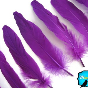 Purple Goose Feathers, 1 Pack - PURPLE Goose Satinettes Loose Feathers ...
