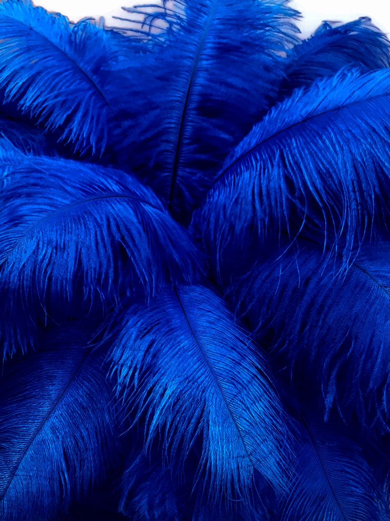 10 Pieces - 11-13" Royal Blue Bleached & Dyed Ostrich Drabs Body ...