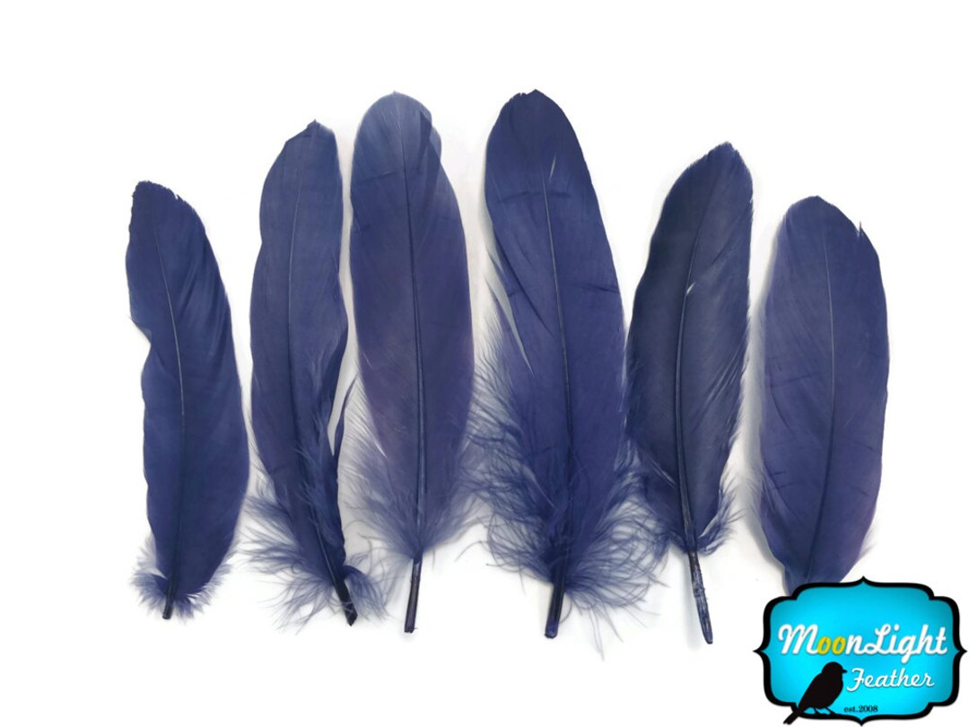 Goose Feathers, 1 Pack - NAVY BLUE Goose Satinettes Loose Feathers 0.3 ...