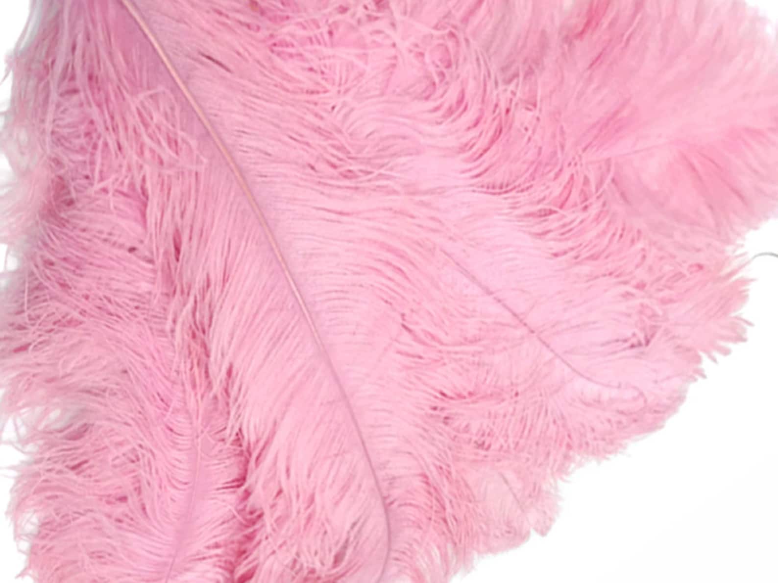 Huge Wedding Feathers 1/2 Lb. 18-24 Baby Pink Large | Etsy