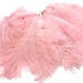 Ostrich Plumes 10 Pieces 8-10 Baby Pink Ostrich Dyed - Etsy