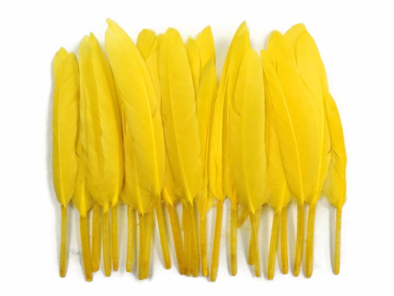 Duck Feathers 1 Pack Yellow Dyed Duck Cochettes Loose Wing - Etsy