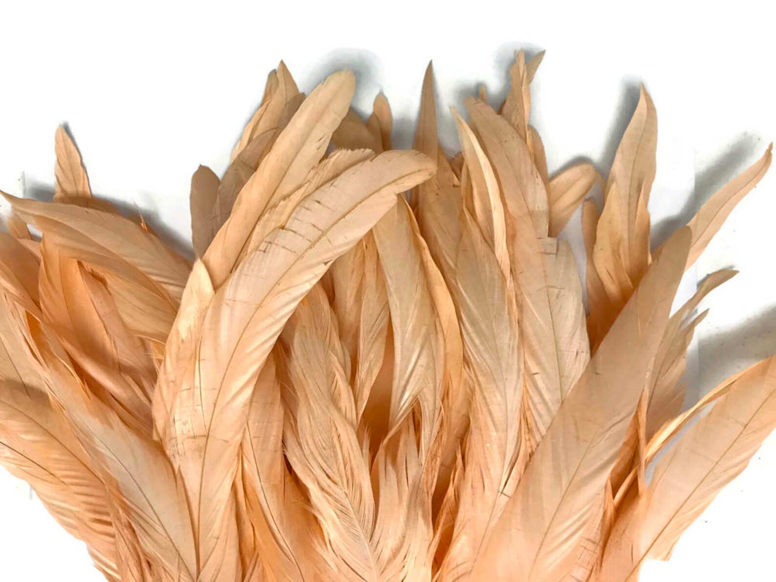 Rooster Tail Feathers 1 Yard 10-12 Champagne Bleach | Etsy