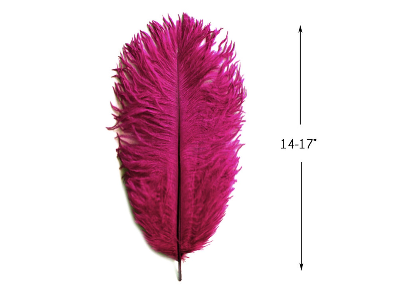 USA Feathers, 10 Pieces - 14-17" Magenta Ostrich Dyed Drab Large Body ...