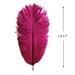 USA Feathers, 10 Pieces - 14-17" Magenta Ostrich Dyed Drab Large Body ...