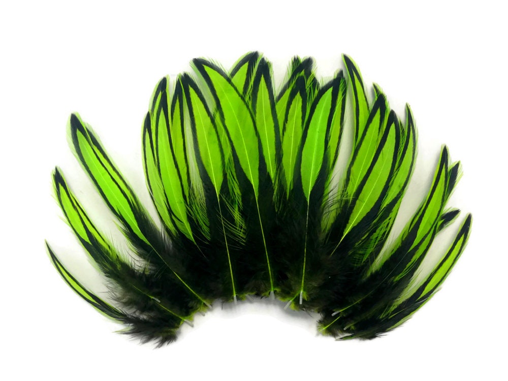 Laced Hen Feathers 1 Dozen Lime Green BLW Whiting Laced Hen - Etsy