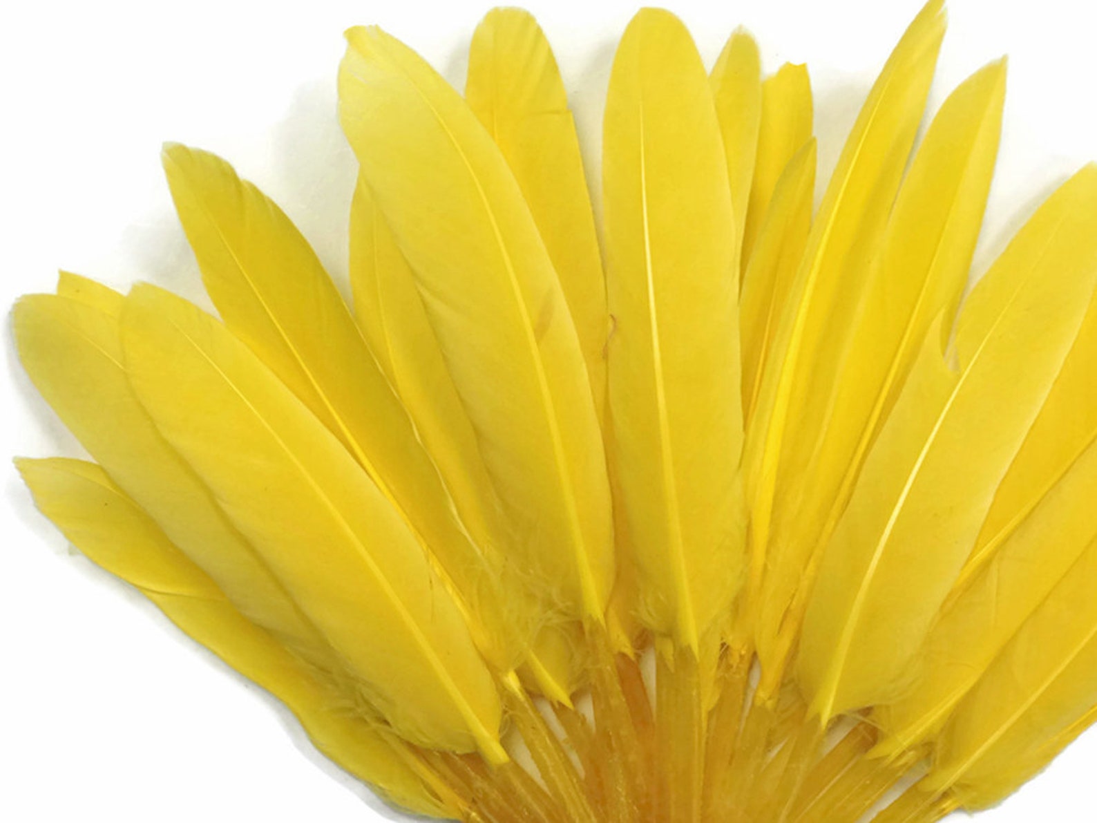 Duck Feathers 1 Pack Yellow Dyed Duck Cochettes Loose Wing - Etsy