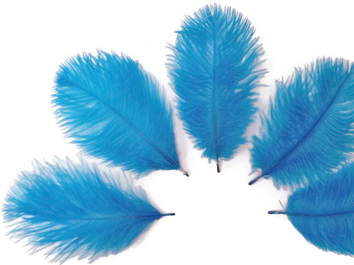 Mini Ostrich Feathers, 1 Pack - Turquoise Blue Ostrich Small Confetti ...
