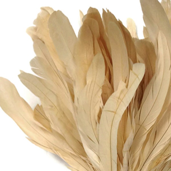 Ivory Feathers - Etsy