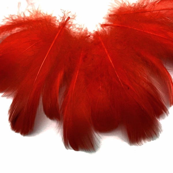 Red Feathers - Etsy