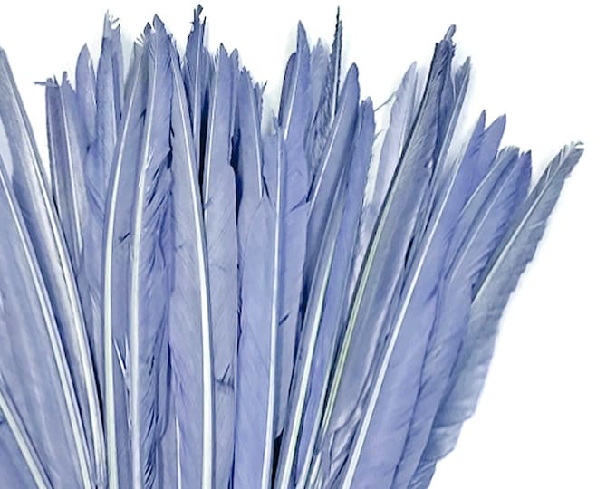 Goose Feather, 10 Pieces White Tipped Black Goose Pointers Long ...