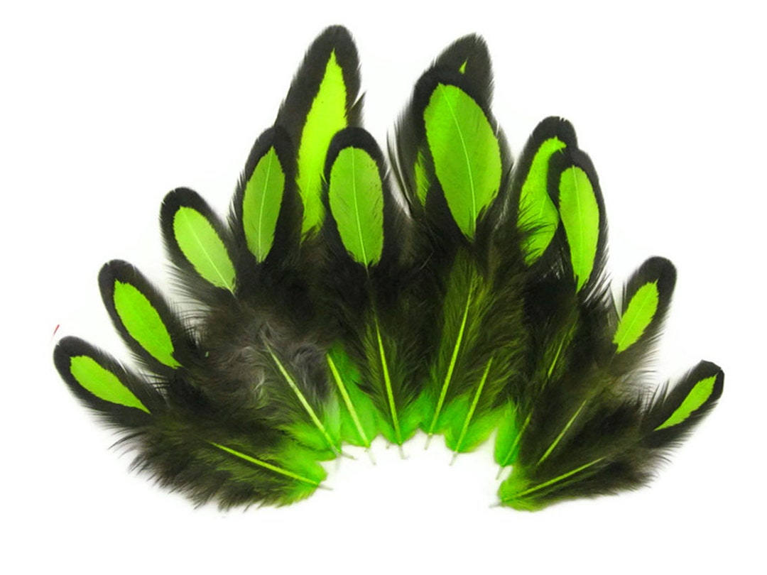 Laced Feathers, 1 Dozen - Lime Green Whiting Farms Laced Hen BLW Saddle ...