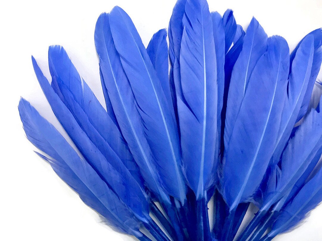 Blue Duck Feathers, 1 Pack - Sky Blue Duck Cochettes Loose Feathers 0. ...
