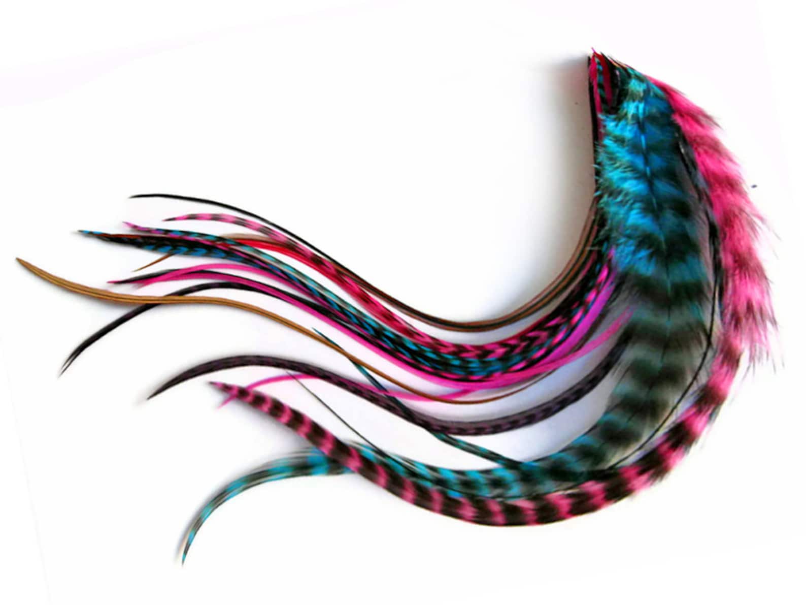 Rooster Feathers, 1 Dozen - Medium Party Mix Grizzly Rooster Saddle ...