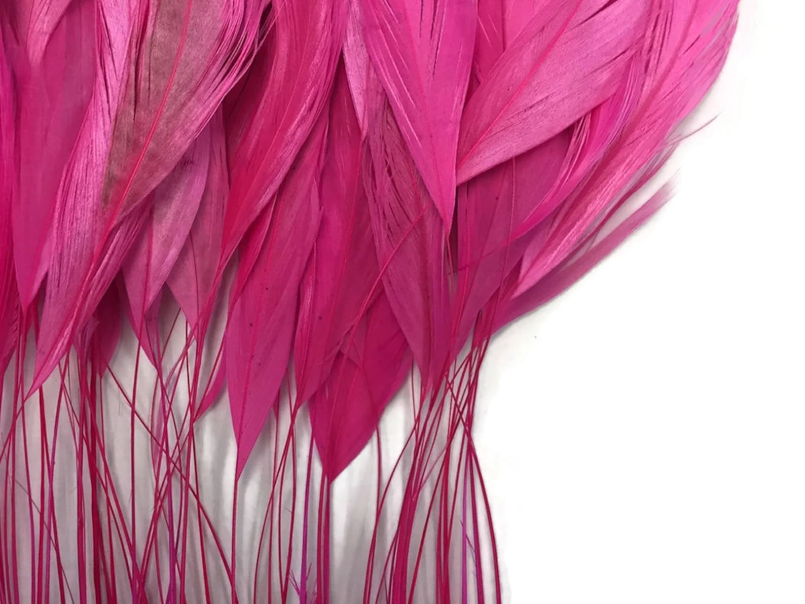 Pink Stripped Feathers 1 Dozen Hot Pink Stripped Rooster | Etsy