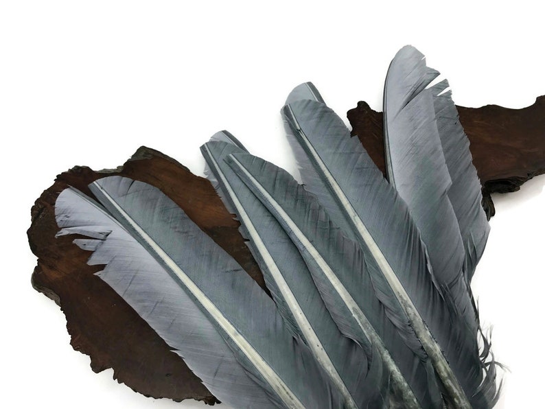 Harry Potter Feathers 6 Pieces Silver Gray Turkey Pointers | Etsy
