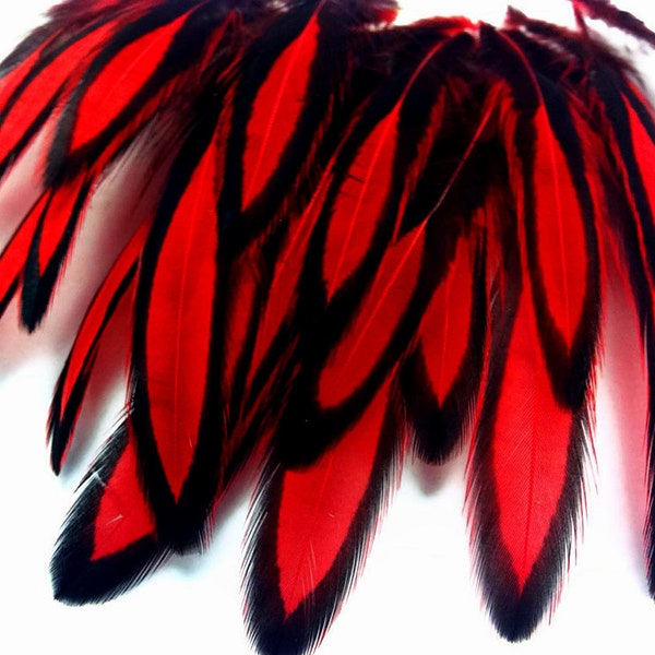 Feather Cape - Etsy
