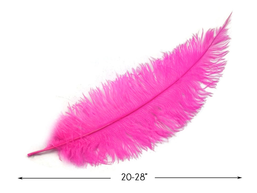 Super Long Feathers, 10 Pieces - 20-28" Hot Pink Ostrich Feather Spads ...