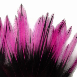 Fuchsia Laced Pointy Feathers, 10 Pieces - Hot Pink Dyed BLW Laced ...