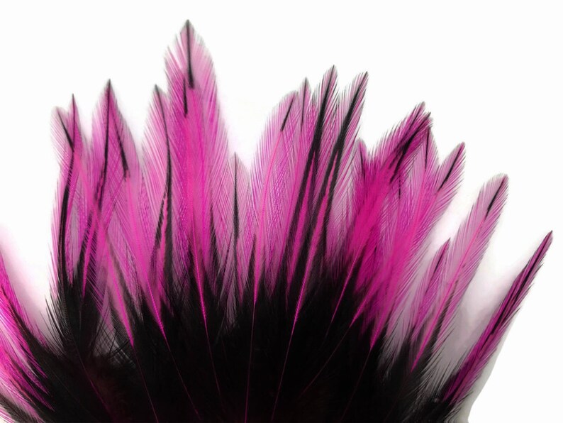 Fuchsia Laced Pointy Feathers, 10 Pieces - Hot Pink Dyed BLW Laced ...