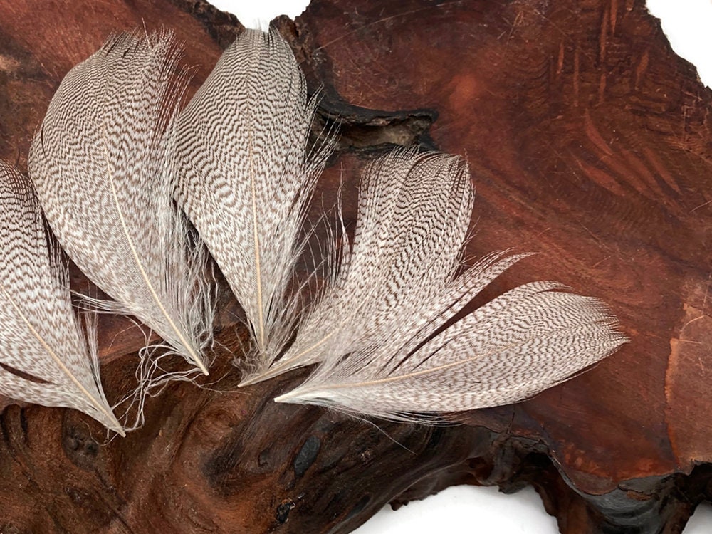 1/4 Lb. - Natural Barred Mallard Duck Flank Wholesale Feathers (bulk ...