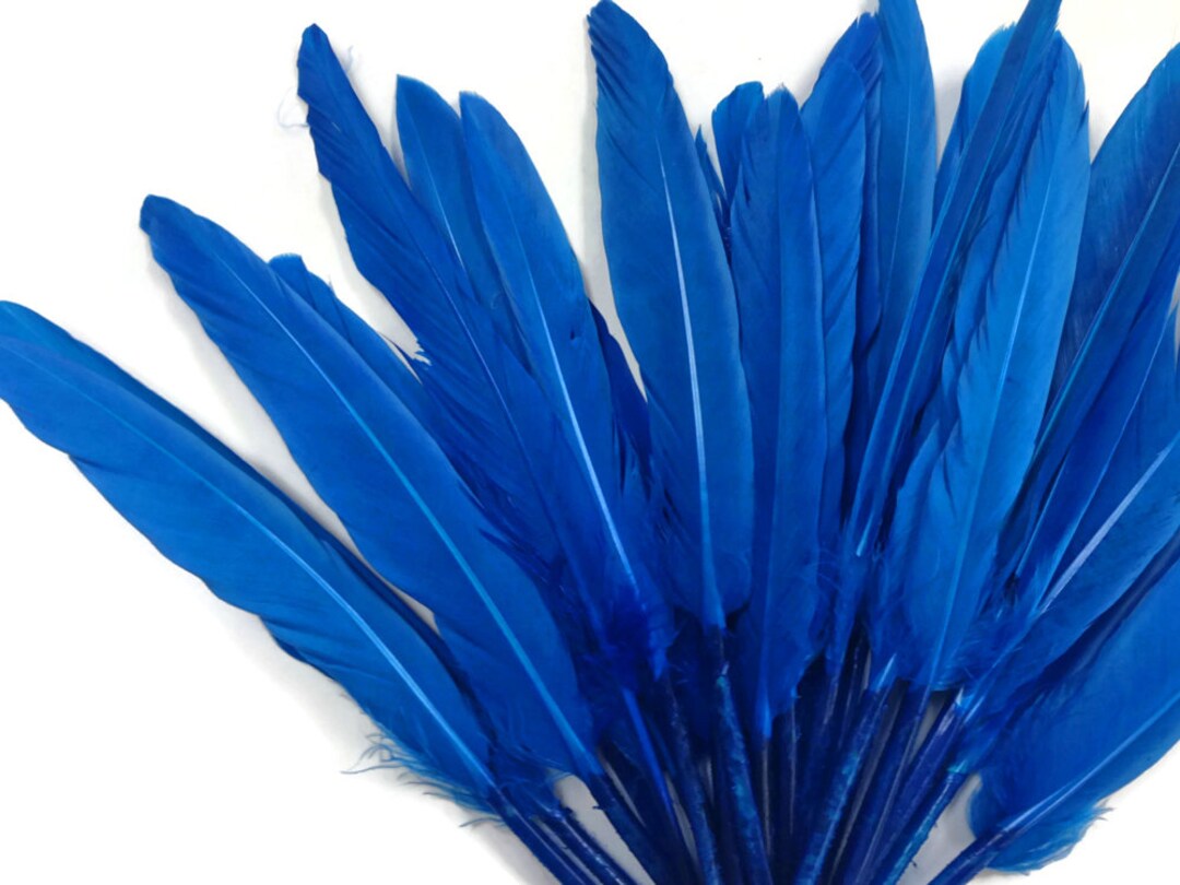 Duck Feathers, 1 Pack - Turquoise Blue Duck Cochettes Loose Feathers 0. ...