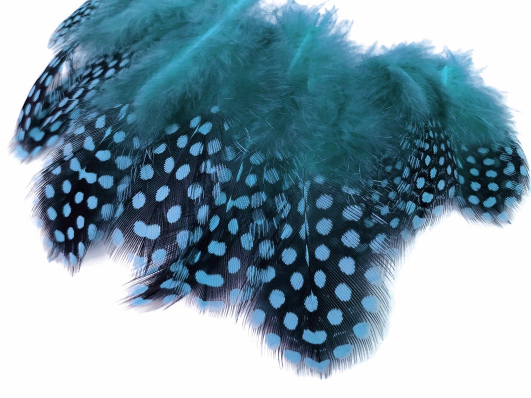 Polka Dot Feathers, 1 Pack - Turquoise Blue Guinea Hen Polka Dot ...