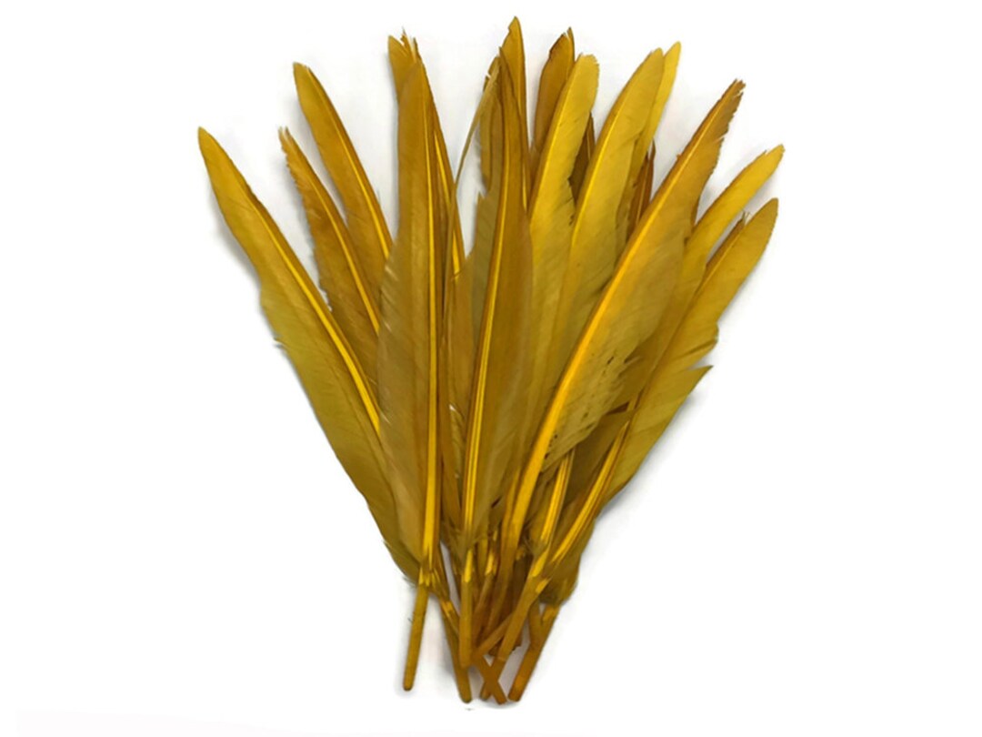 Goose Feather, 1/4 Lb. - Antique Gold Goose Pointers Long Primaries ...