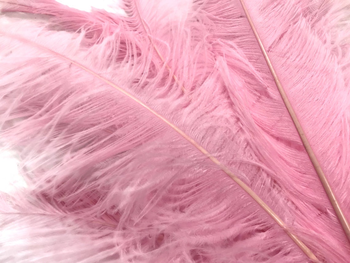 Ostrich Feathers 1/2 Lb 20-28 Light Pink Ostrich | Etsy