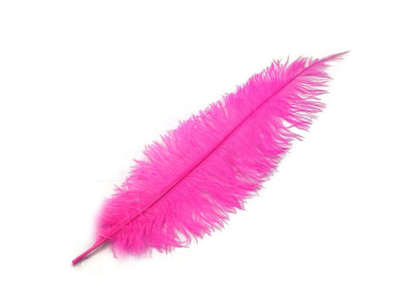 Super Long Feathers, 10 Pieces - 20-28" Hot Pink Ostrich Feather Spads ...