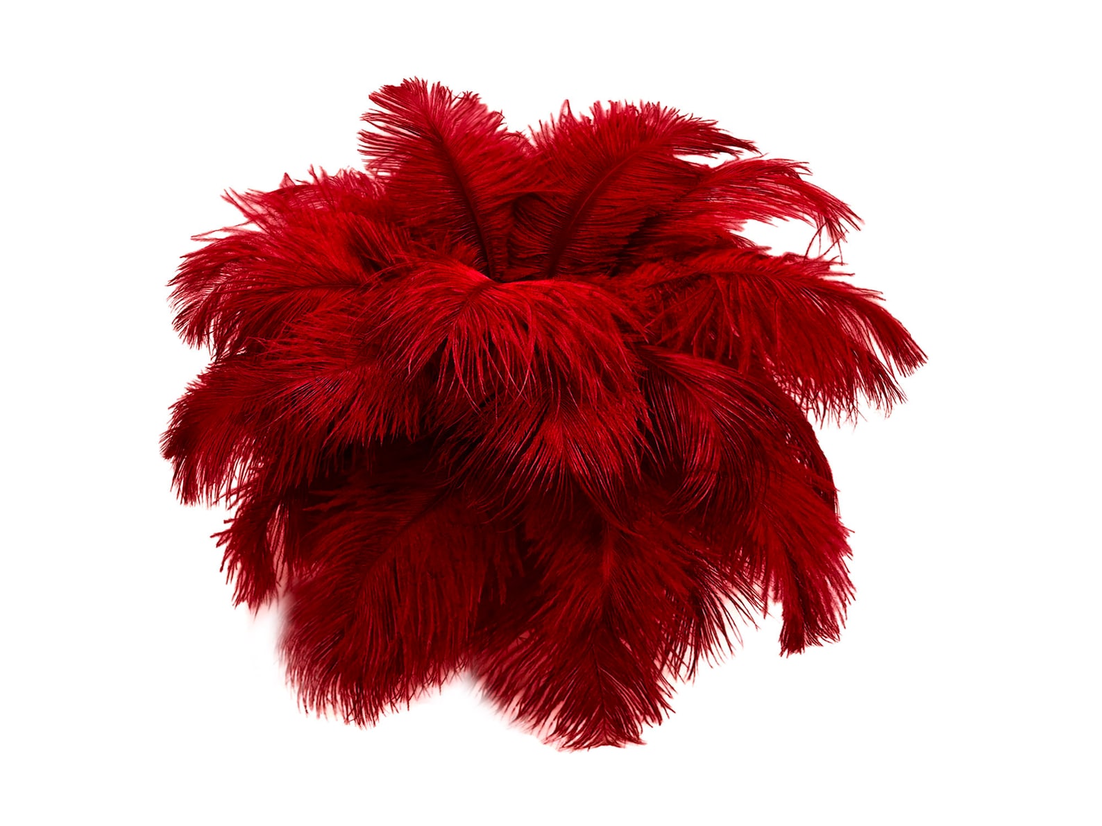 Ostrich Feathers 10 Pieces 8-10 Red Ostrich Dyed | Etsy