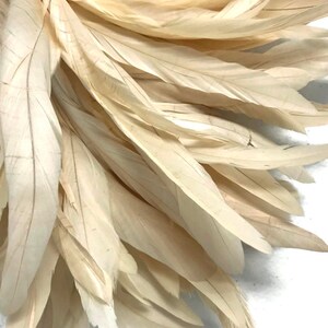 Strung Feathers, 1 Yard - 10-12" Ivory Bleach and Dyed Coque Tails Long ...