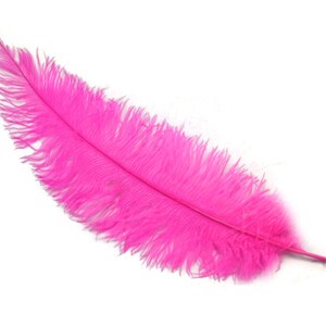 Super Long Feathers, 10 Pieces - 20-28" Hot Pink Ostrich Feather Spads ...