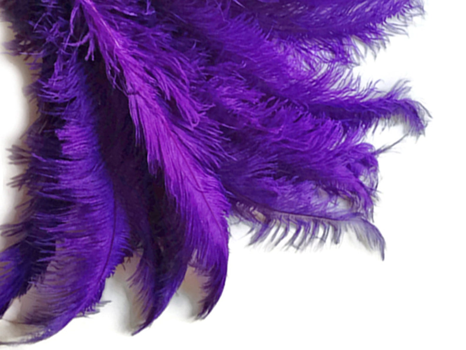 Ostrich Feathers 10 Pieces 20-28 Purple Ostrich - Etsy