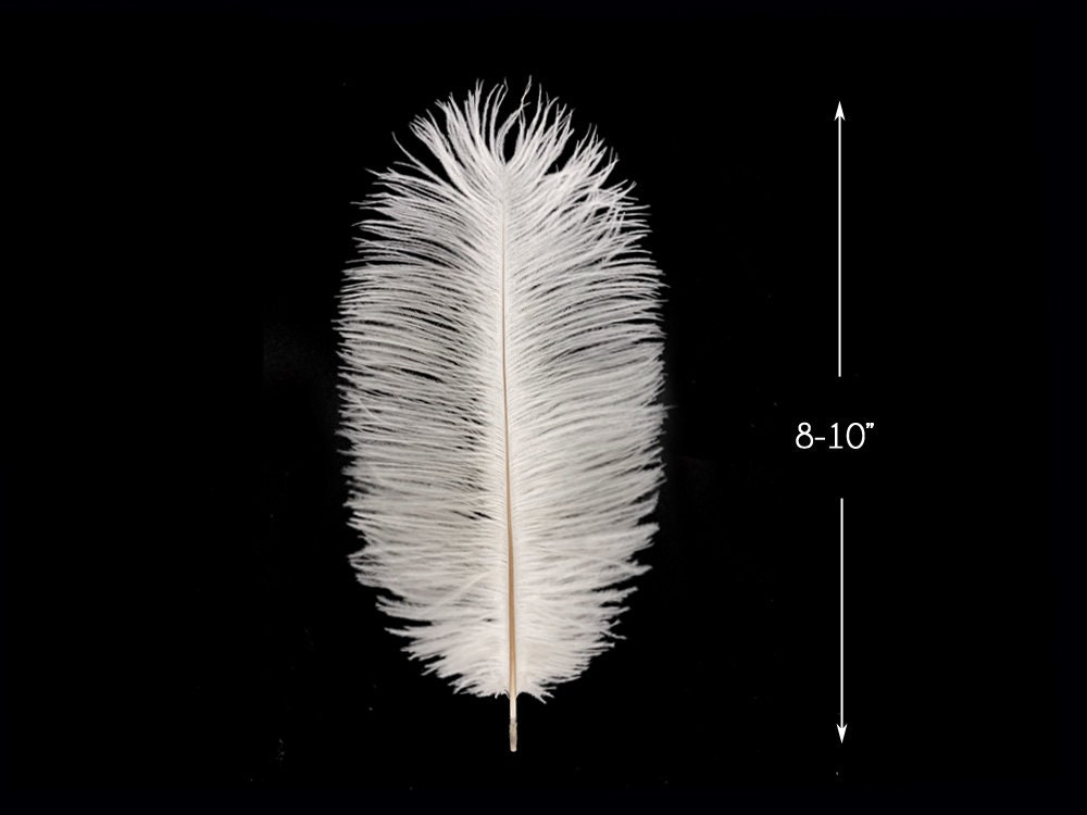 USA Feathers, 100 Pieces - 8-10" Bleached off White Ostrich Drab Body ...