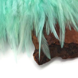 Rooster Trim, 1 Yard - Aqua Green Rooster Neck Hackle Saddle Feather ...