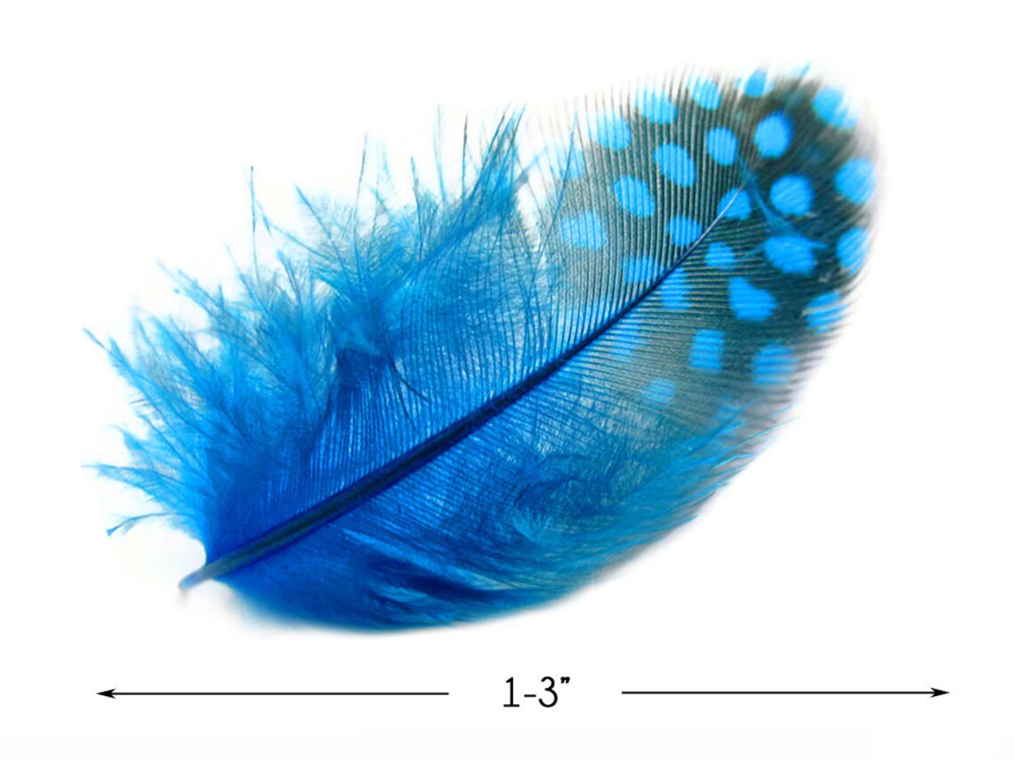 Polka Dot Feathers, 1 Pack - Turquoise Blue Guinea Hen Polka Dot ...