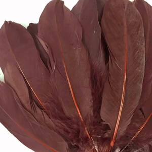 Goose Feathers, 1 Pack - Brown Goose Satinettes Loose Wing Quill ...