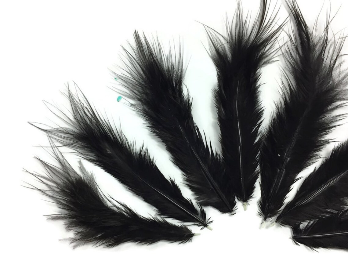 Small Feathers, 1 Dozen - Solid Black Rooster Chickabou Fluff Feathers ...