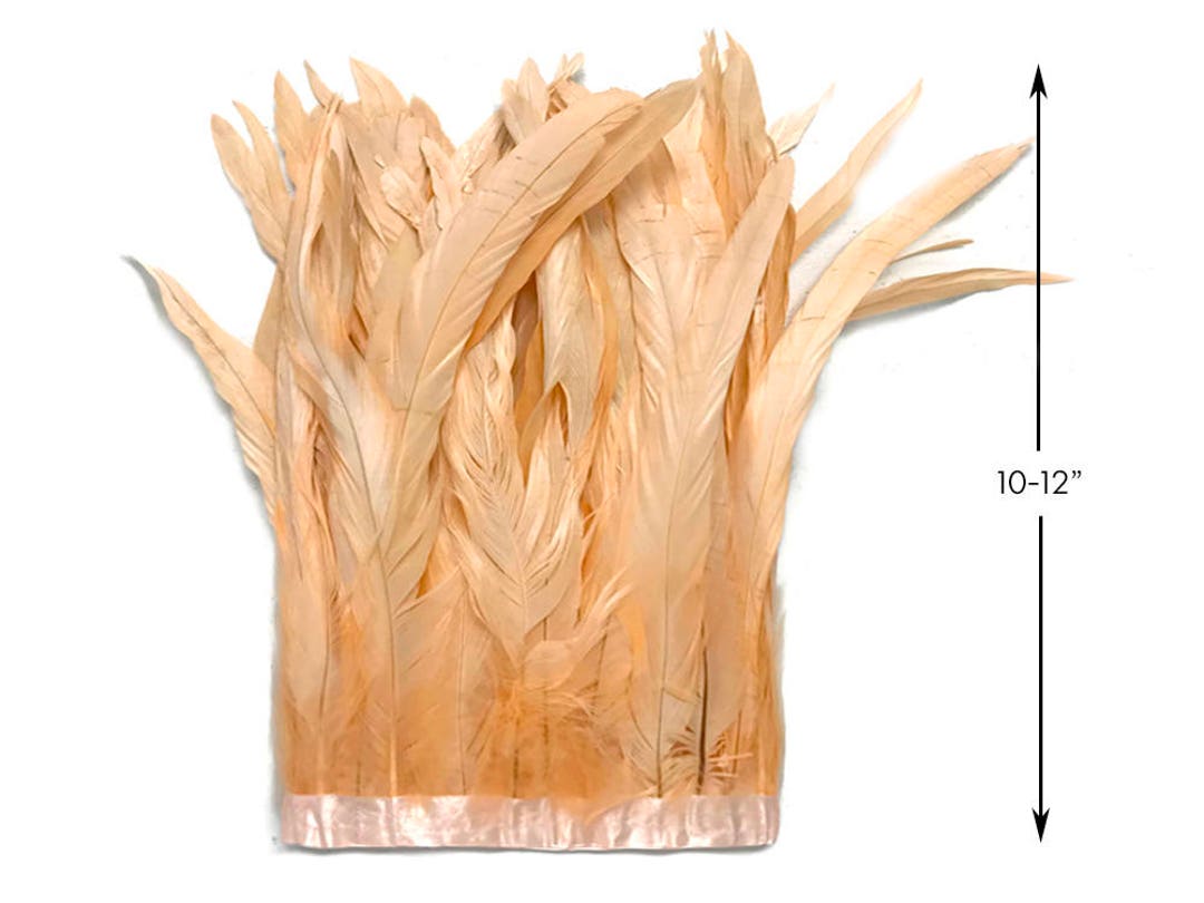Rooster Tail Feathers, 1 Yard - 10-12" Champagne Bleach and Dyed Coque ...