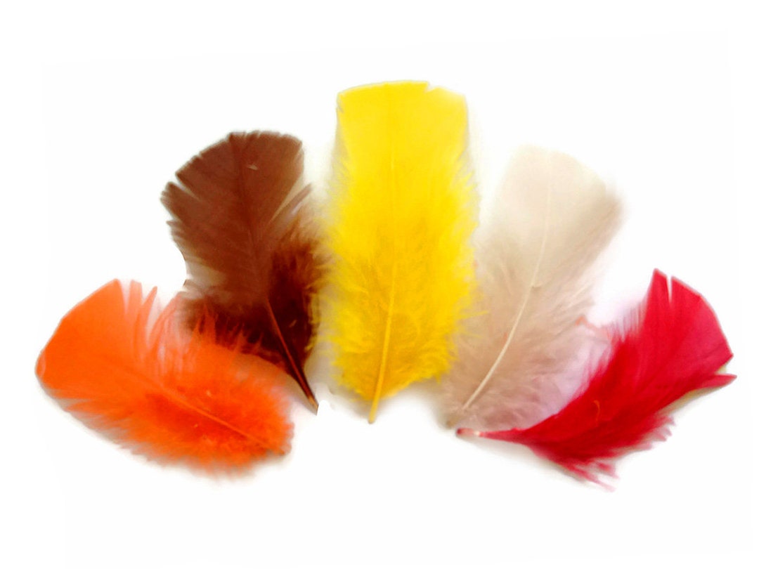 Turkey Feathers, 1/4 Lbs - Fall Mix Turkey T-base Body Plumage ...