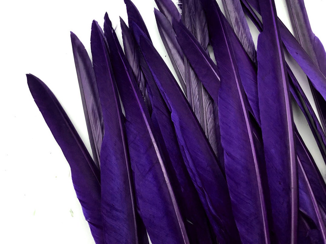 Wing Feathers, 1/4 Lb. - Purple Goose Pointers Long Primaries Wing ...