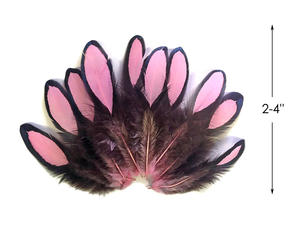 Unique Hen Feathers, 1 Dozen - Light Pink Whiting Farms Laced Hen ...