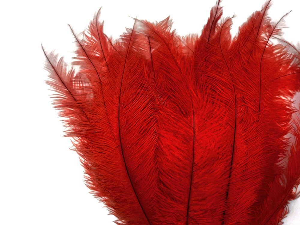 20 Pieces - 12-18" Red Mini Ostrich Spads Chick Body Feathers Halloween ...